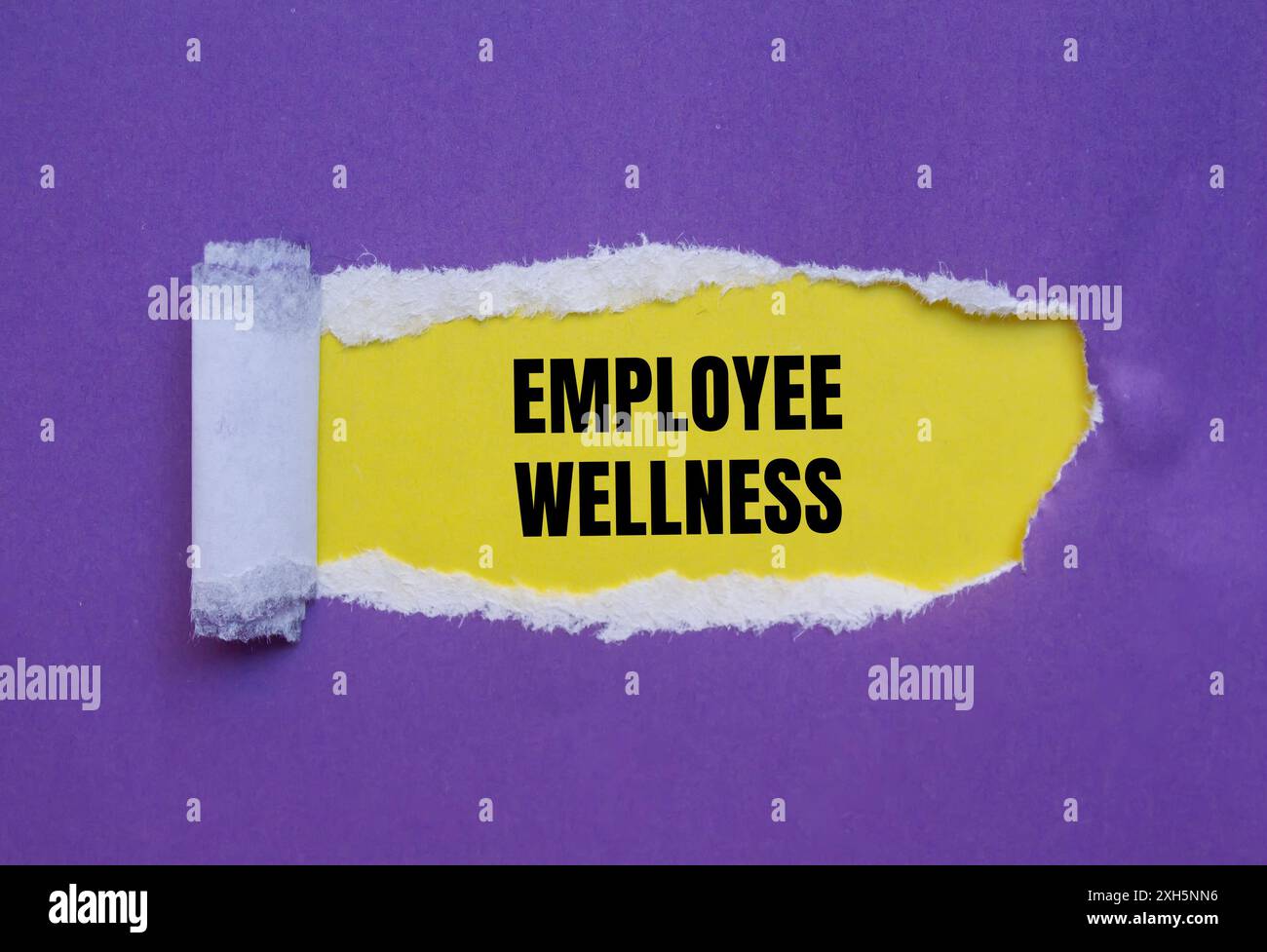 Employee wellness message written on ripped torn purple paper with ...
