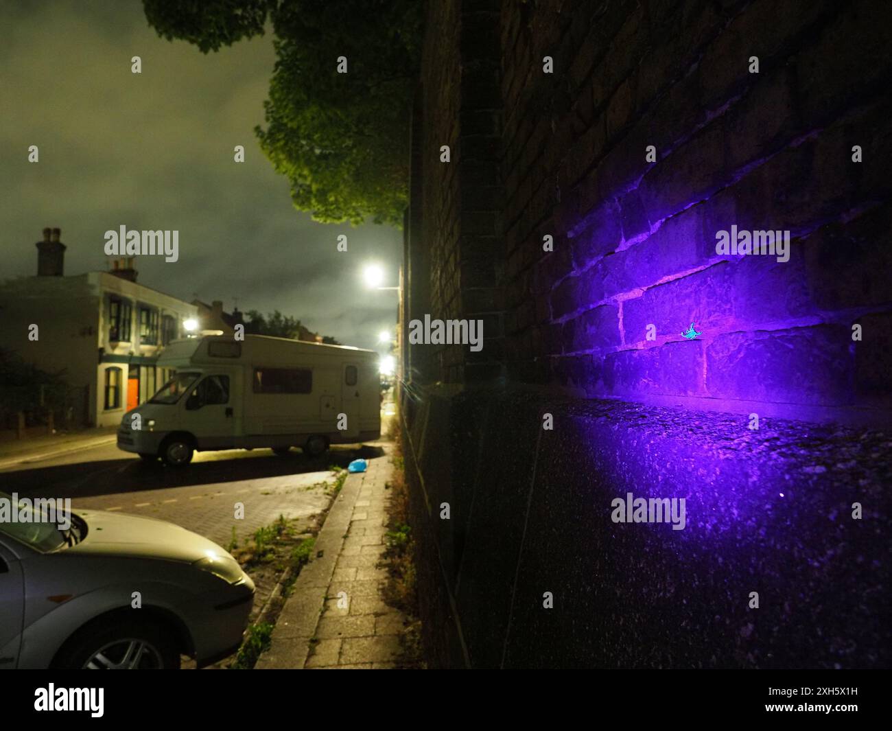 Sheerness, Kent, UK. 11th July, 2024. Scorpions living in crevices in ...