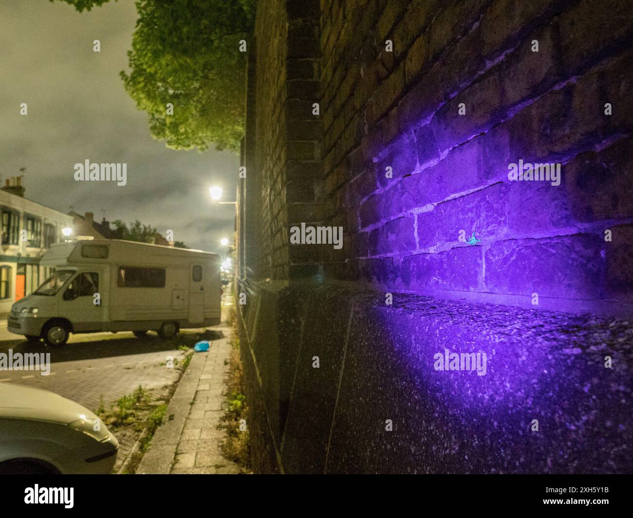Sheerness, Kent, UK. 11th July, 2024. Scorpions living in crevices in ...