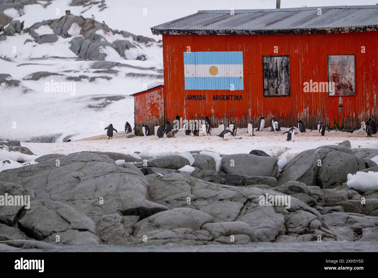 Penguin activity in antarctica hi-res stock photography and images - Alamy