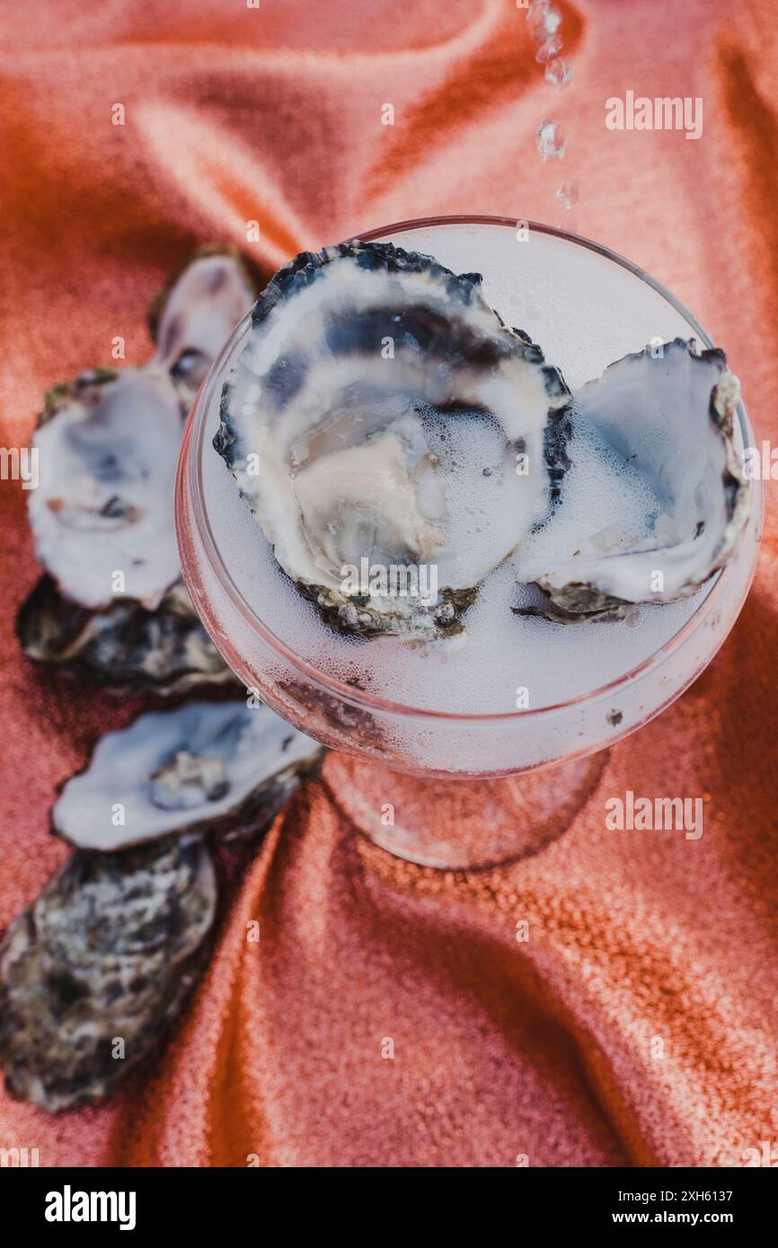 Fresh oyster shells on a vibrant fabric background Stock Photo - Alamy