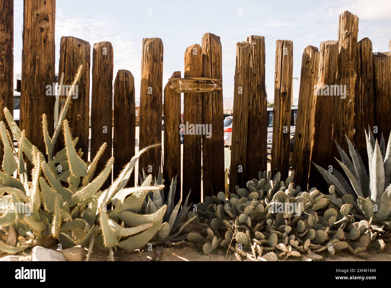 Weathered wooden fence with desert plants in front Stock Photo - Alamy