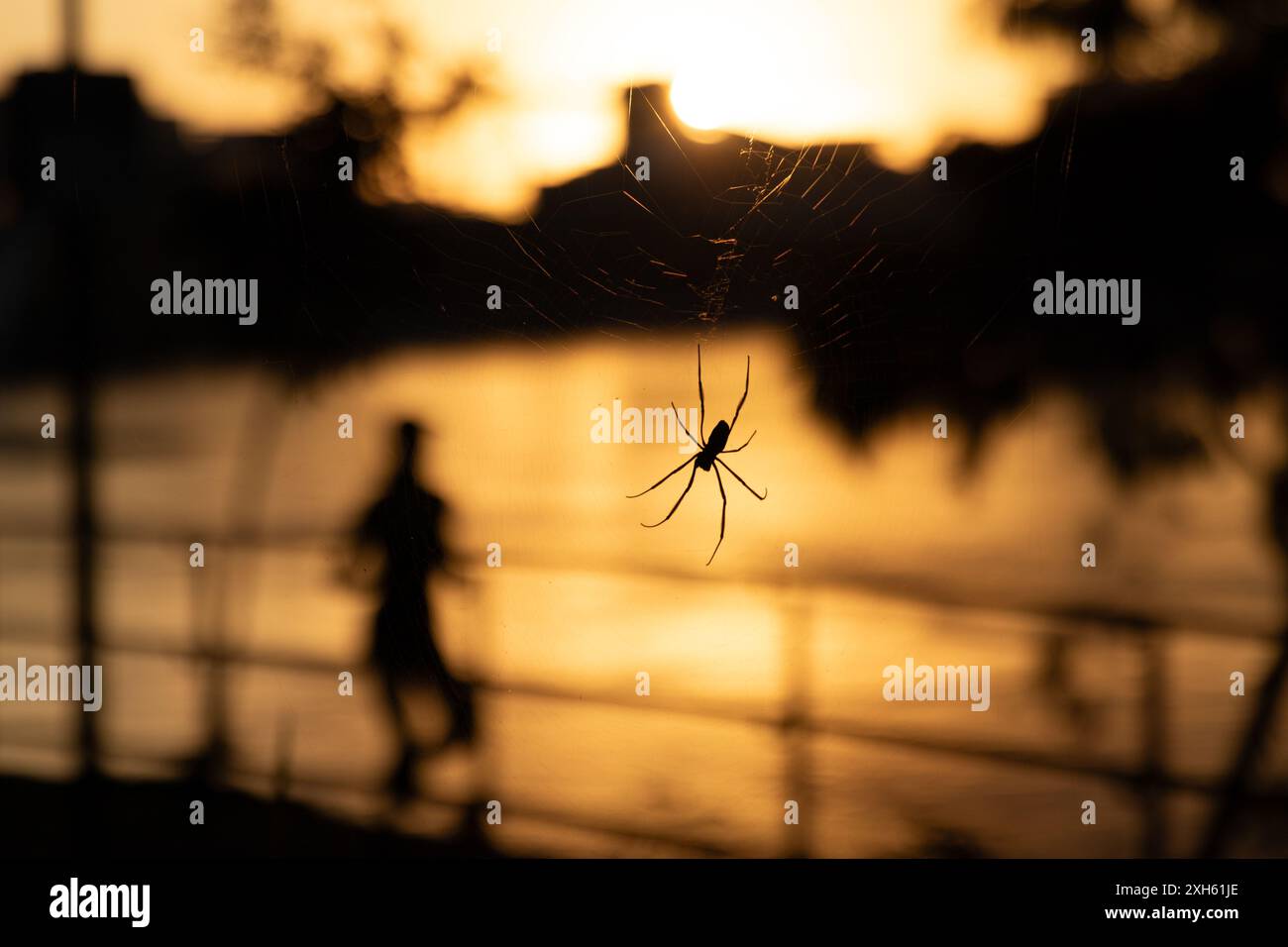 Nighttime at the boardwalk hi-res stock photography and images - Alamy