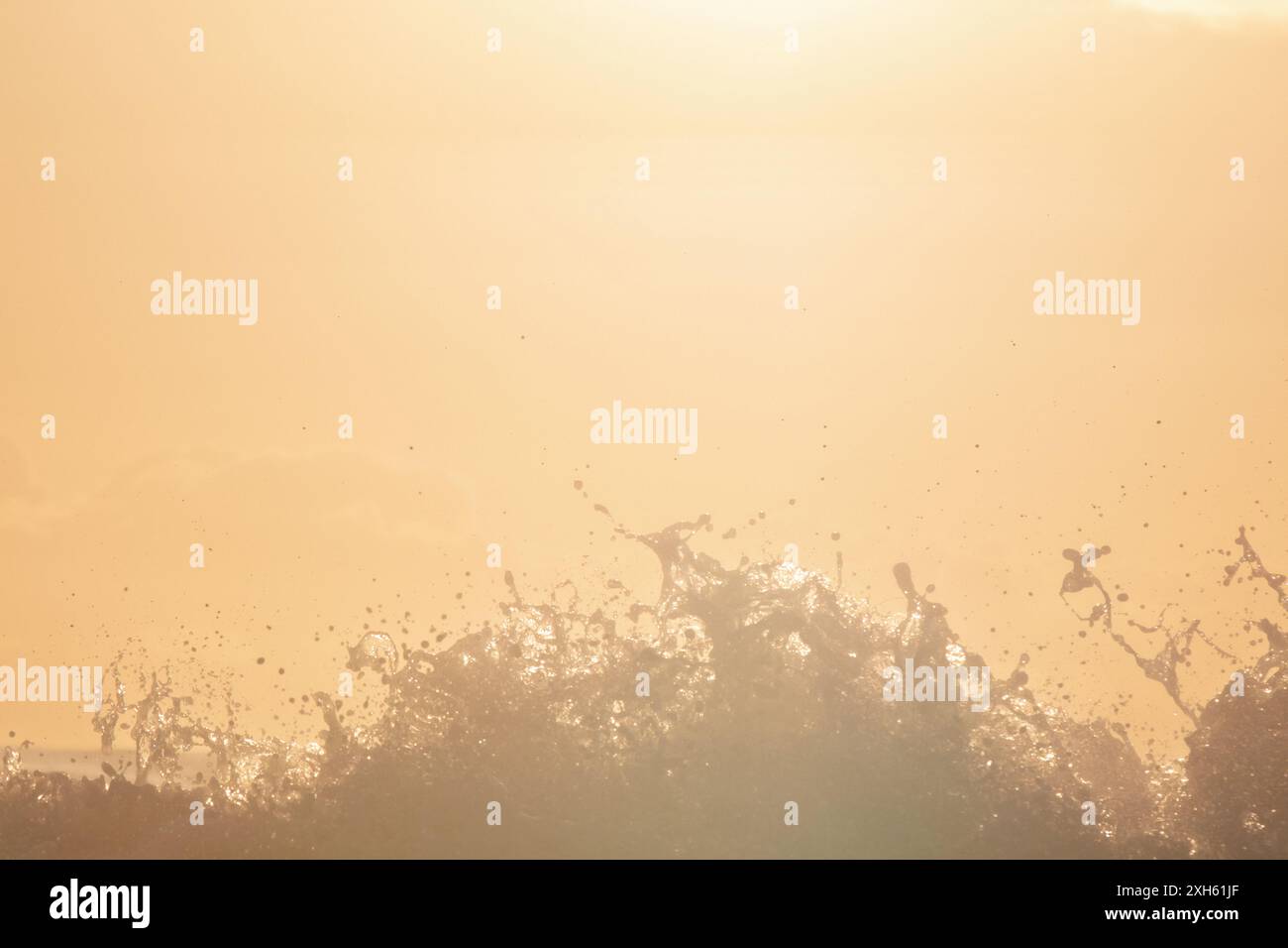 Boho waves splash illuminated by golden apricot sunlight Stock Photo ...