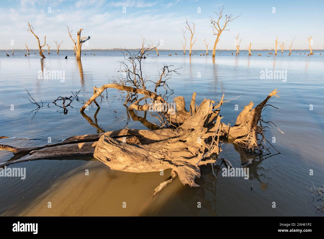 Daylight and water hi-res stock photography and images - Alamy