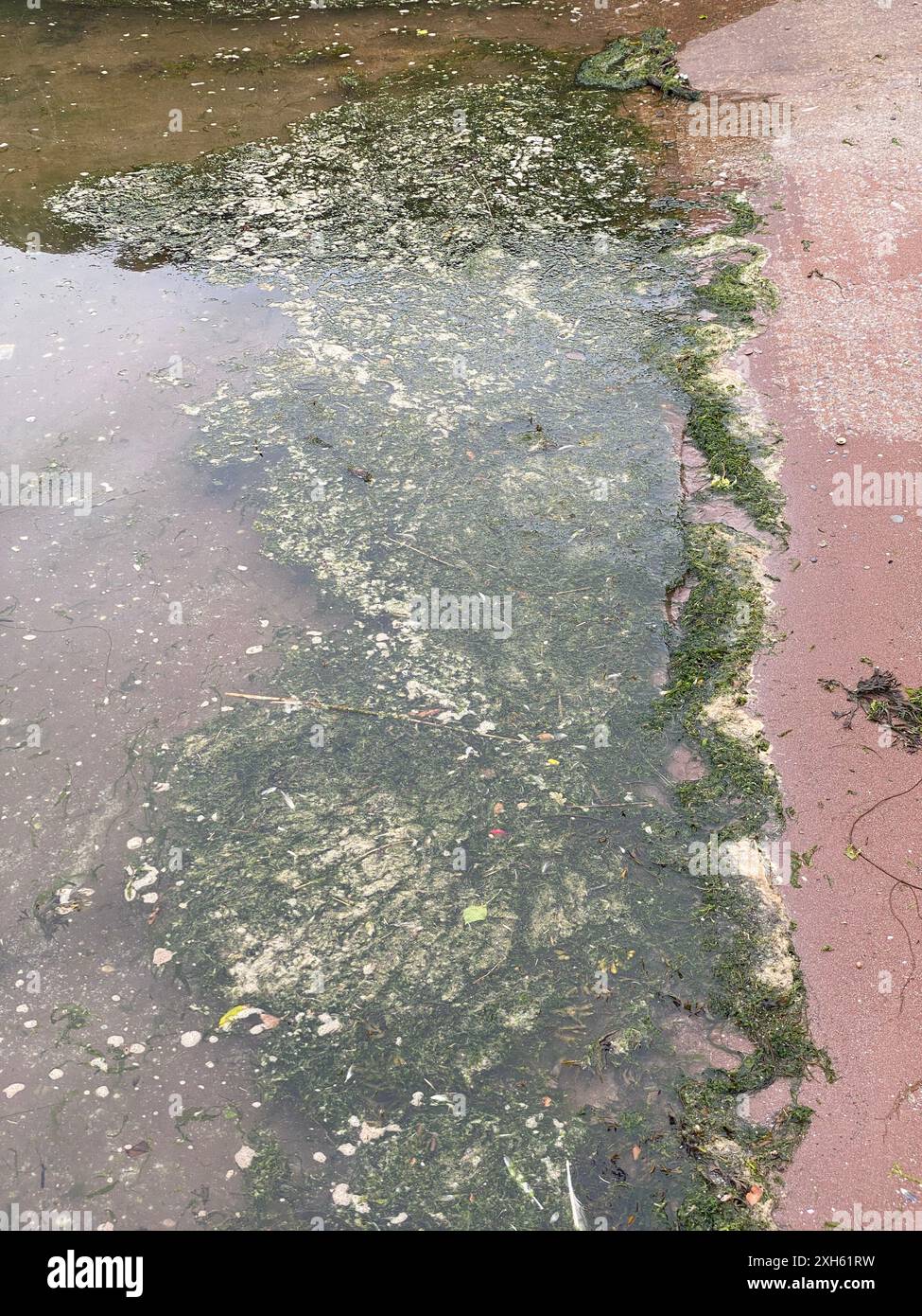 Teignmouth, Devon, UK. 12th July, 2024. Poor water quality warning on ...