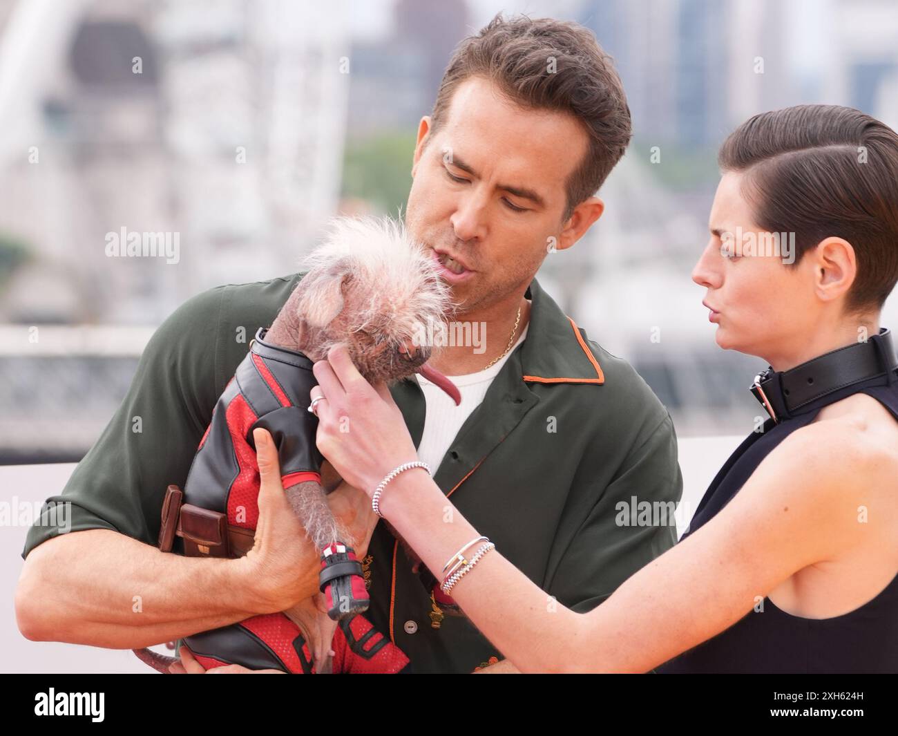 Ryan Reynolds, holding Peggy, a pug and Chinese crested cross, which ...
