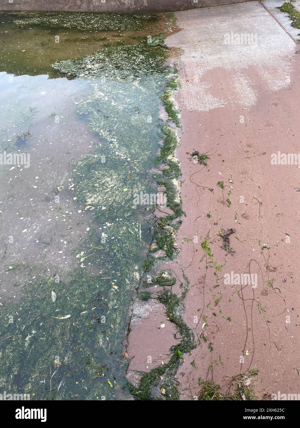 2024 fears hi-res stock photography and images - Alamy