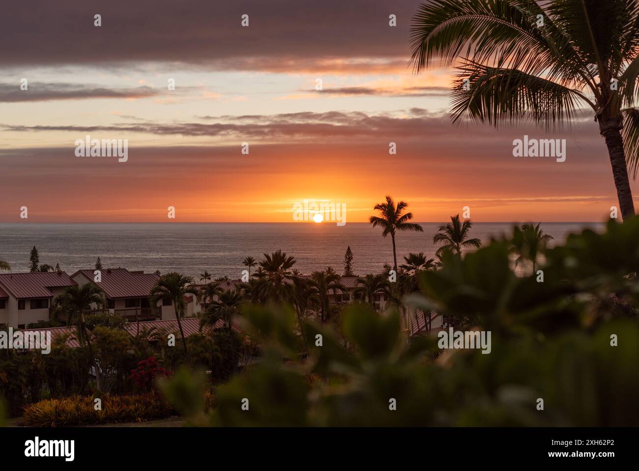 Sunset over pacific with palm trees hi-res stock photography and images ...