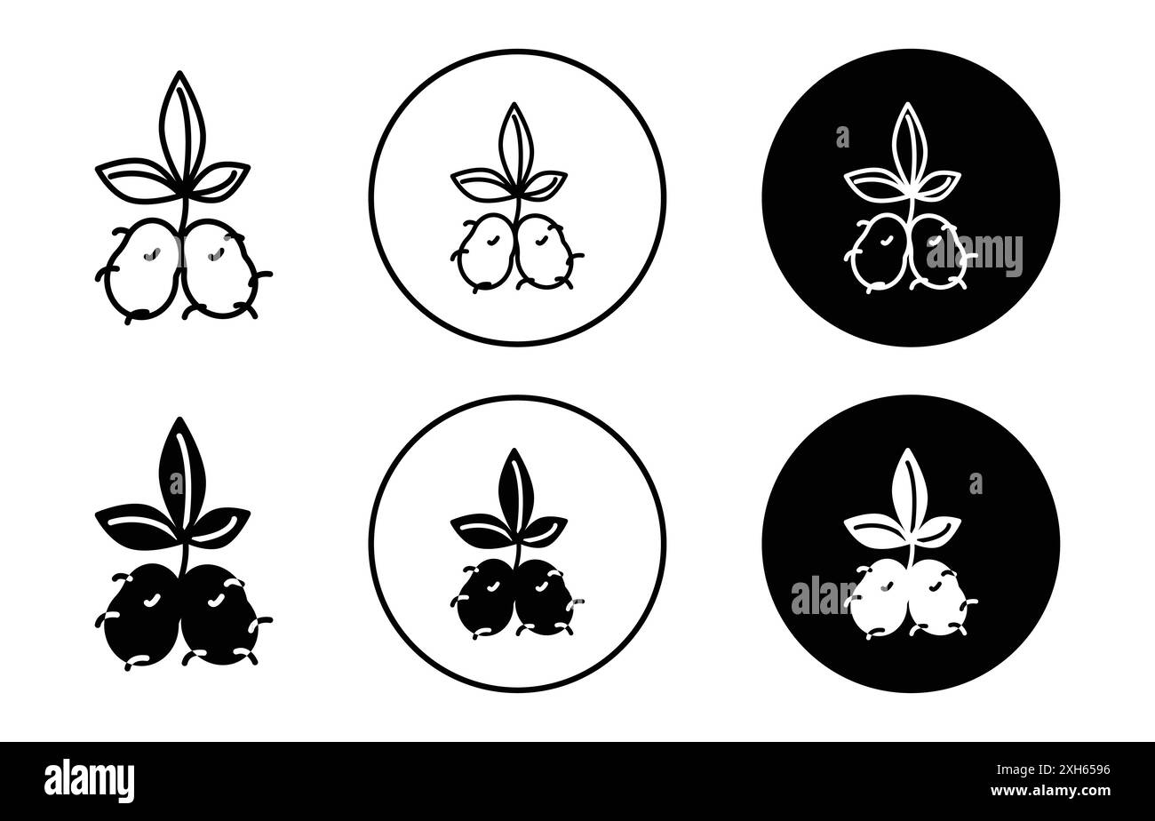 potatoes plant icon Vector symbol or sign set collection in black and ...