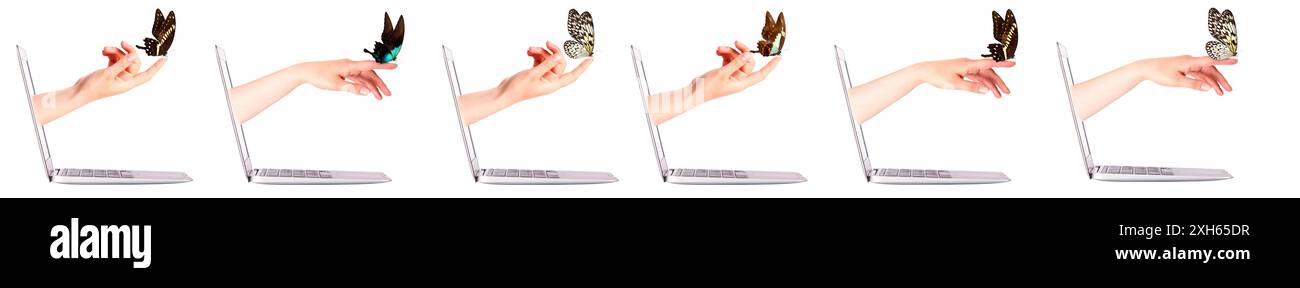 Laptop side view with butterfly on woman's hand. In motion isolated ...