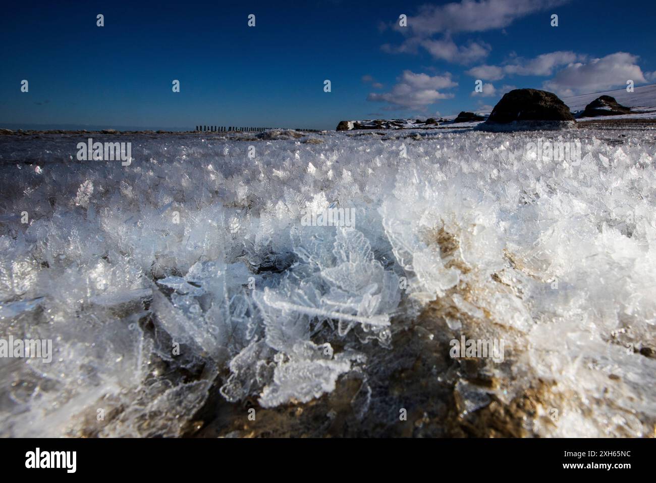 Frozen tidal area hi-res stock photography and images - Alamy