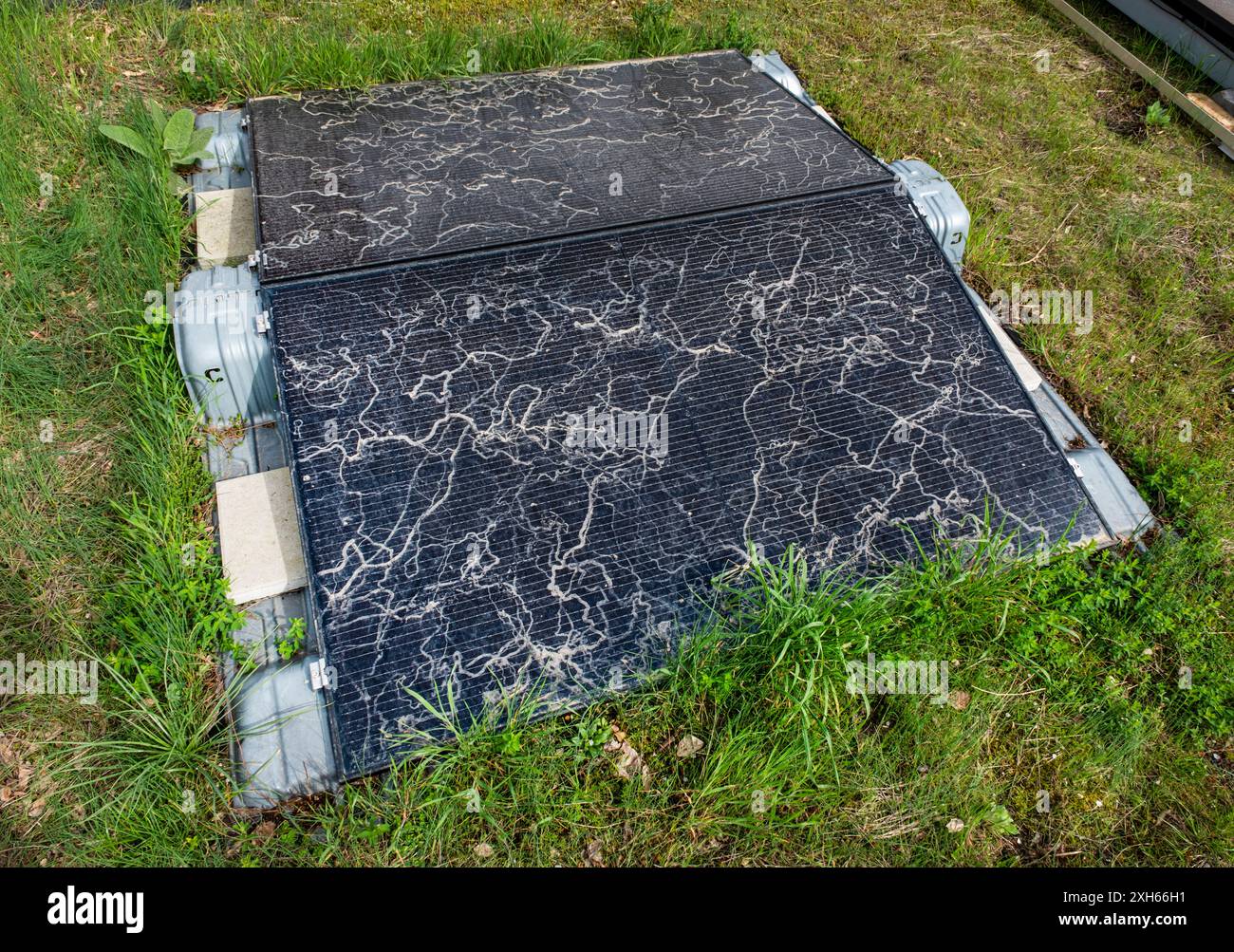 Sahara dust on a solar module, Germany, Lower Saxony Stock Photo - Alamy
