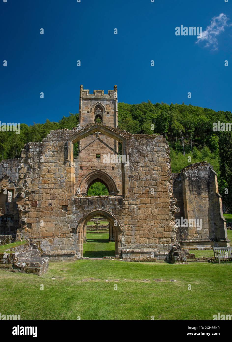 The ruins of Mount Grace Priory in the parish of East Harlsey, North ...