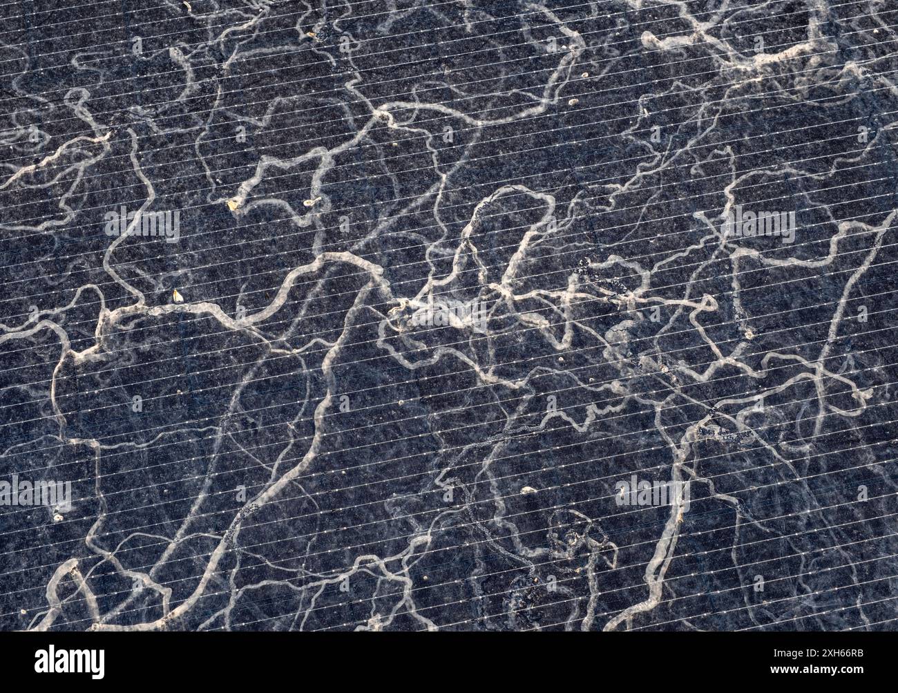 Sahara dust on a solar module, Germany, Lower Saxony Stock Photo - Alamy