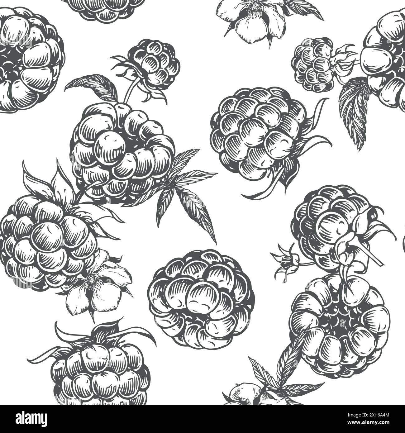 Raspberry seamless pattern. Vector drawing. Isolated sketch of berries ...
