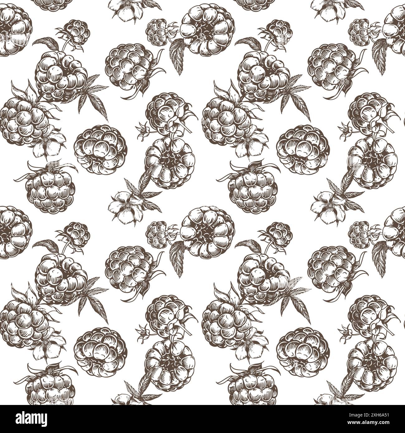 Raspberry seamless pattern. Vector drawing. Isolated sketch of berries ...