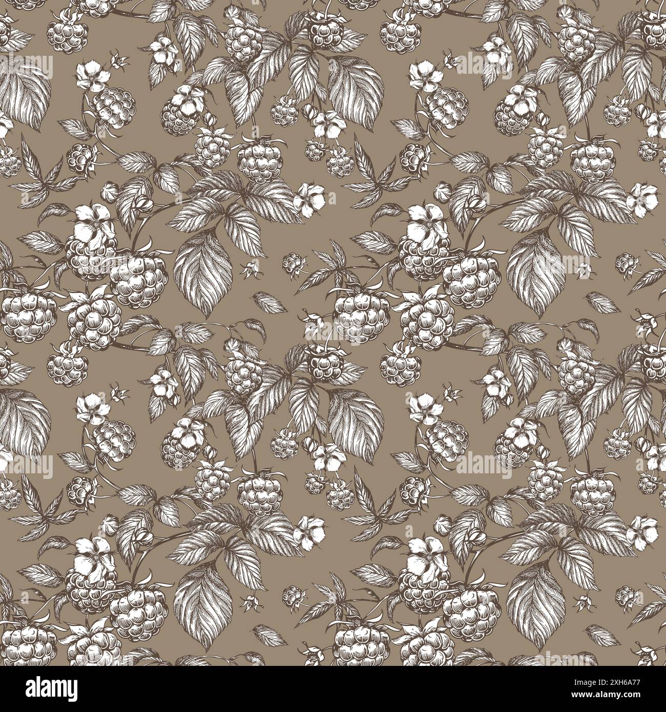 Raspberry seamless pattern. Vector drawing. Isolated sketch of berries ...