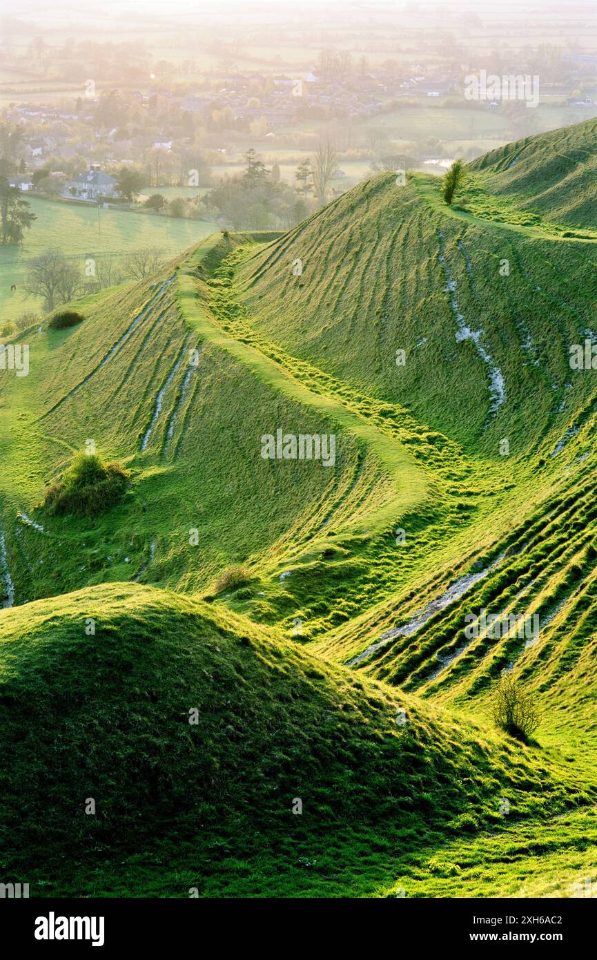 Hambledon Hill prehistoric Iron Age hill fort, Dorset, England. Part of ...