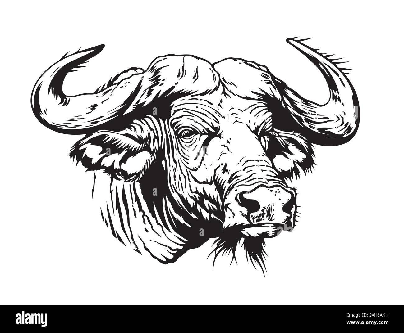 African buffalo. Hand drawn vector sketch illustration. Black outline ...