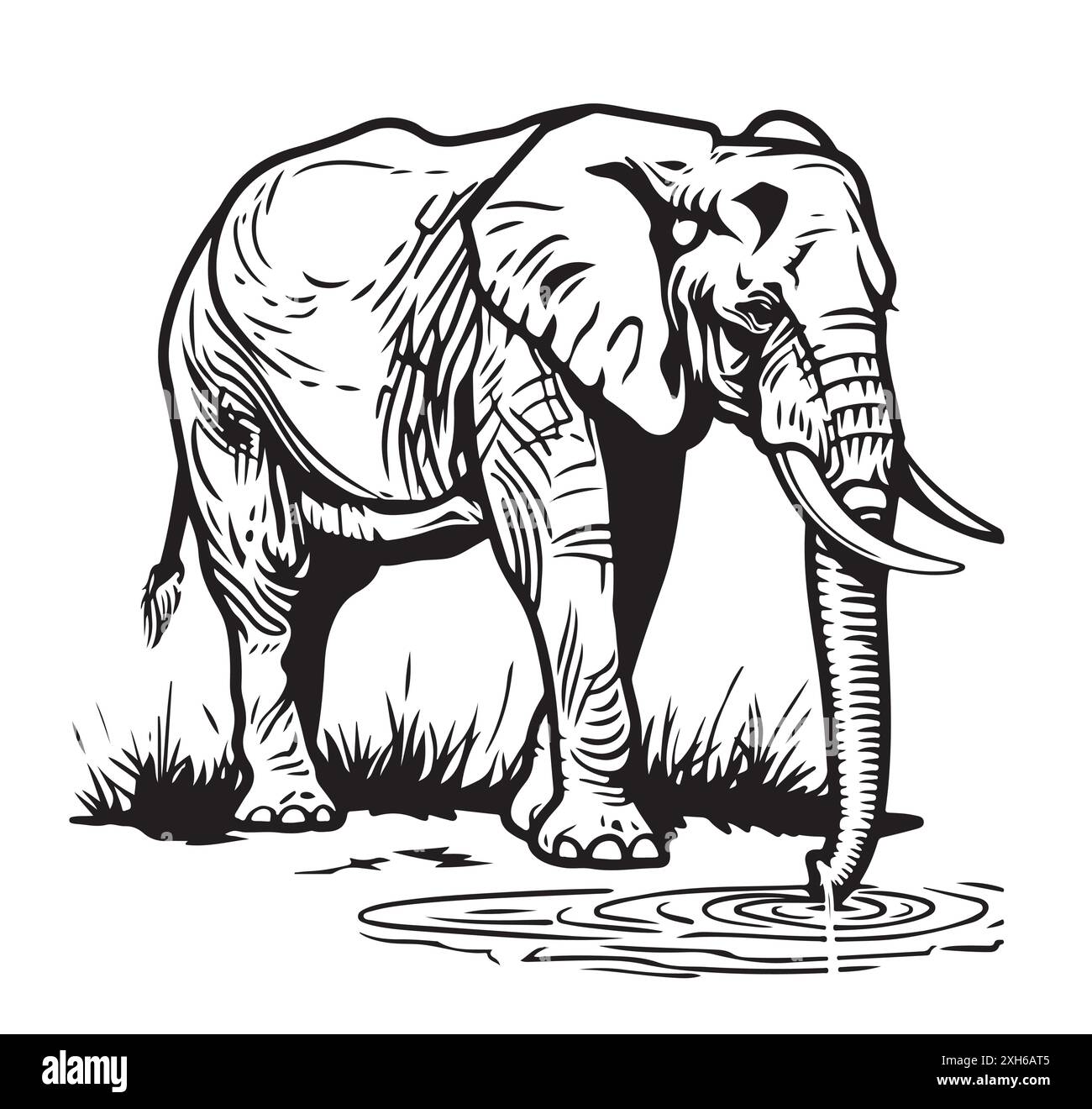 Elephant sketch hand drawn in doodle style Vector illustration Wild ...
