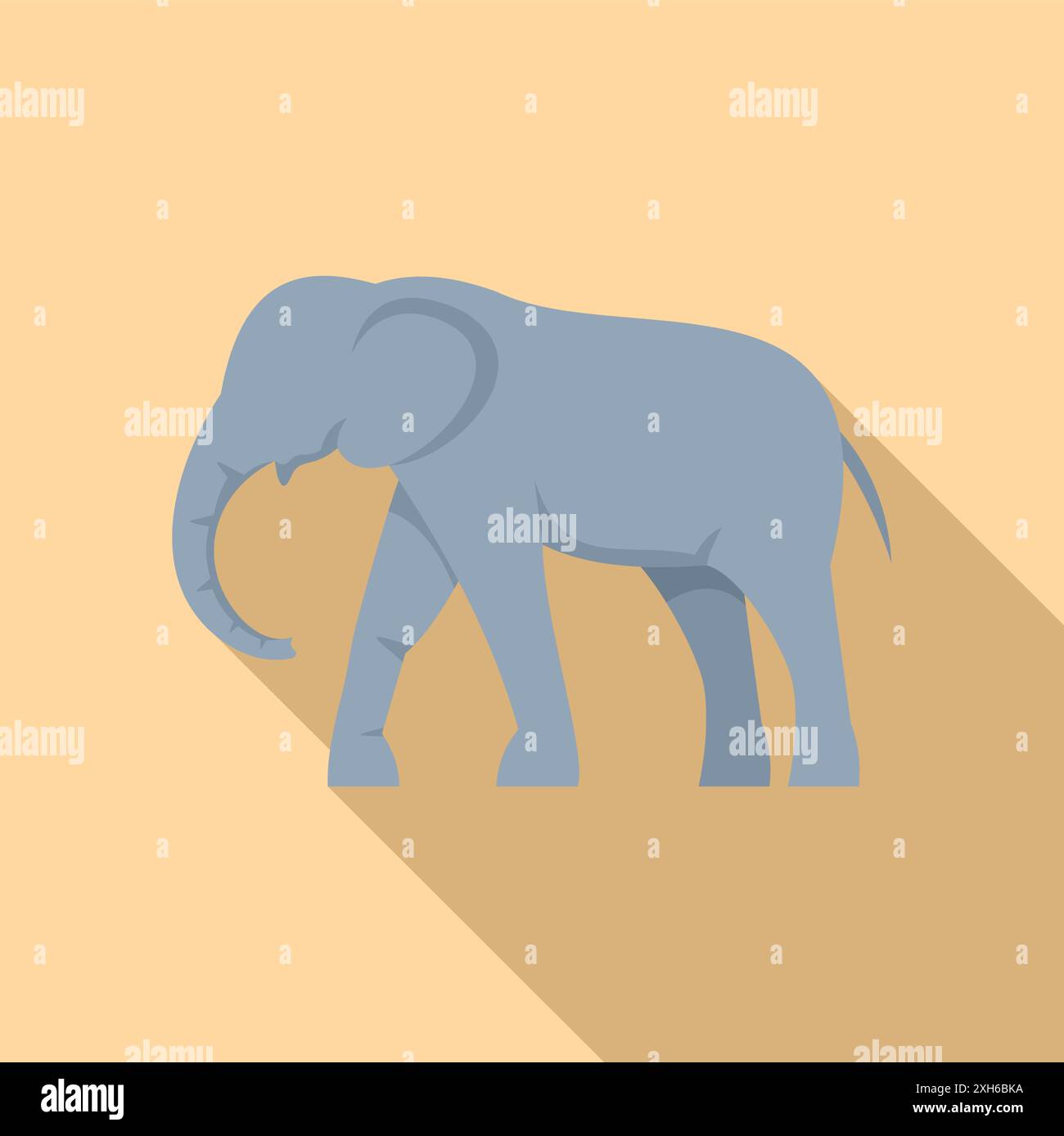 Big grey elephant walking with its trunk down in a side view profile ...