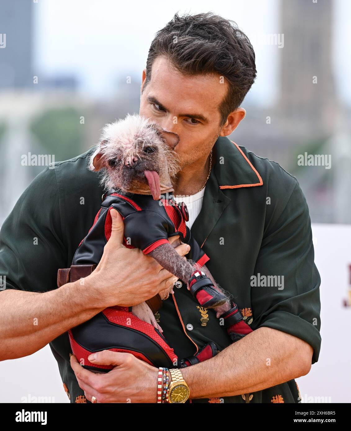 Peggythedog hi-res stock photography and images - Alamy