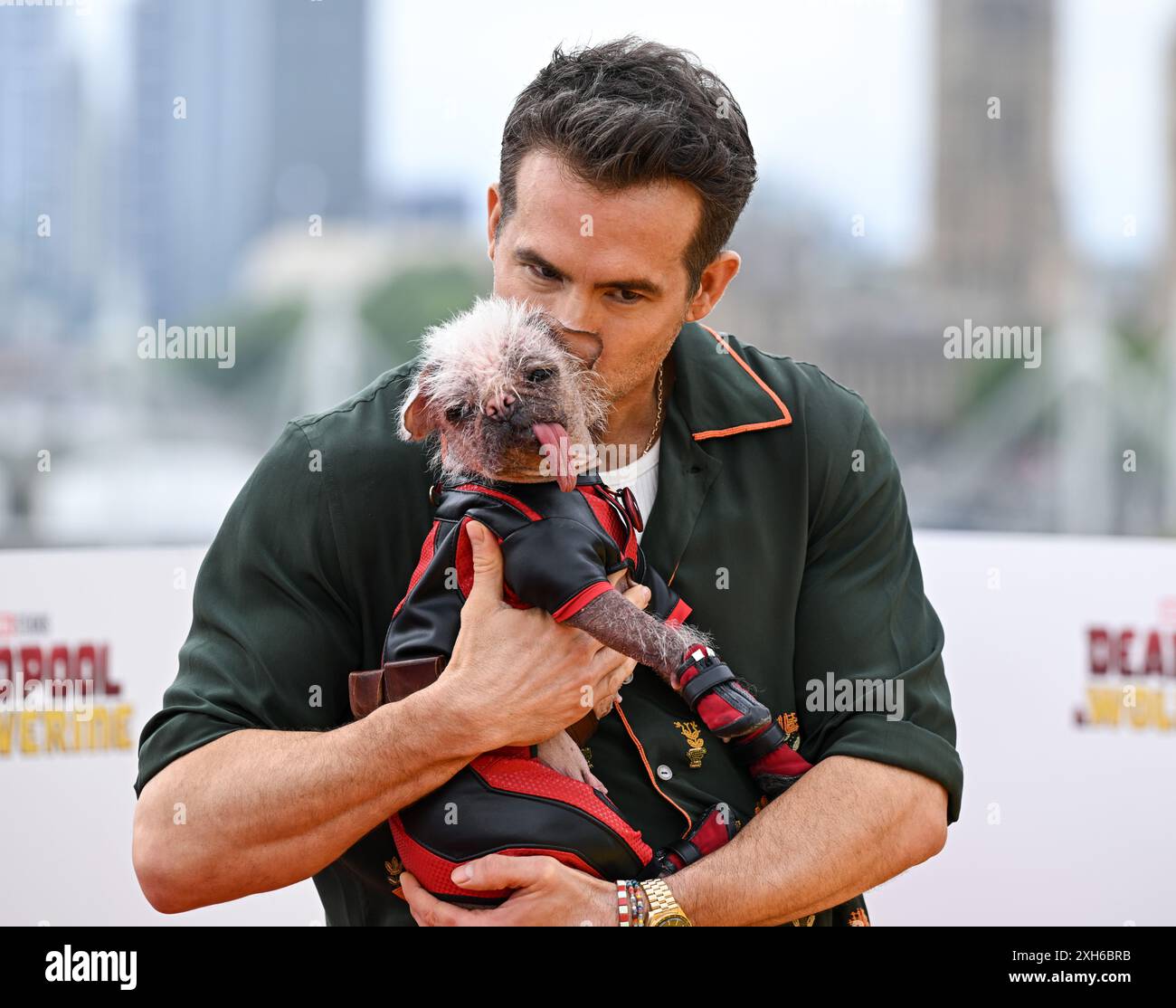 London, UK. July 12th, 2024. Ryan Reynolds and Peggy the dog at the ...