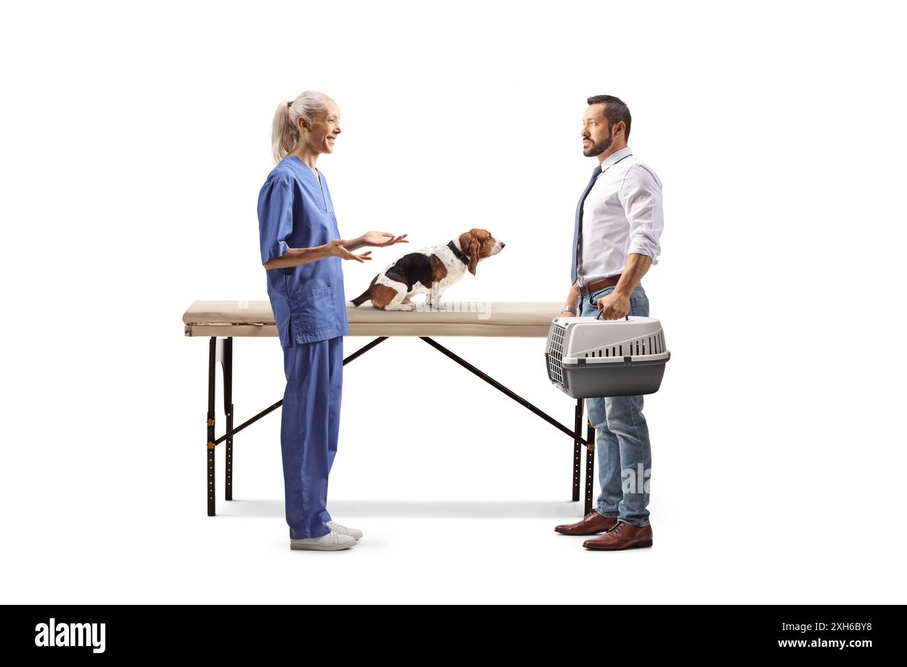 Veterinarian talking to a dog owner isolated on white background Stock ...