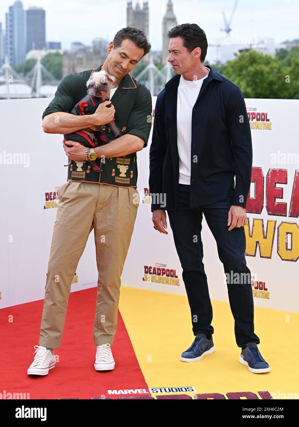 London, UK. July 12th, 2024. Ryan Reynolds, Hugh Jackman and Peggy the ...