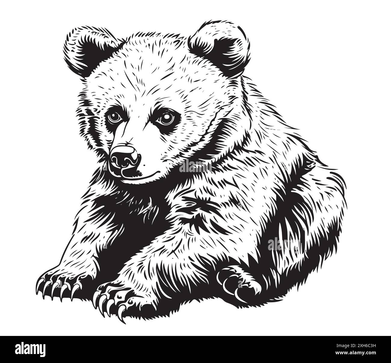 Cute animal bear cub sitting hand drawn sketch in doodle style ...