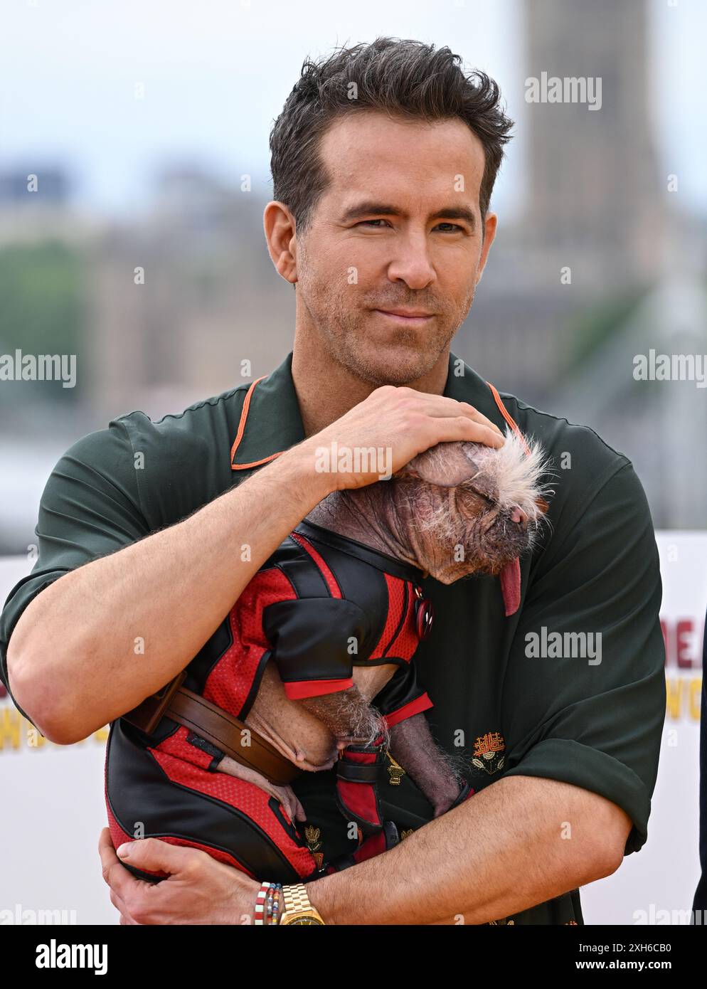London, UK. July 12th, 2024. Ryan Reynolds and Peggy the dog at the ...