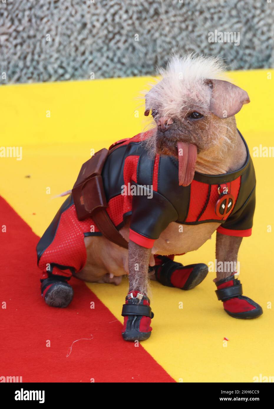 Peggy Dogpool, Deadpool & Wolverine - UK Sneak Peek Event, Hammersmith ...