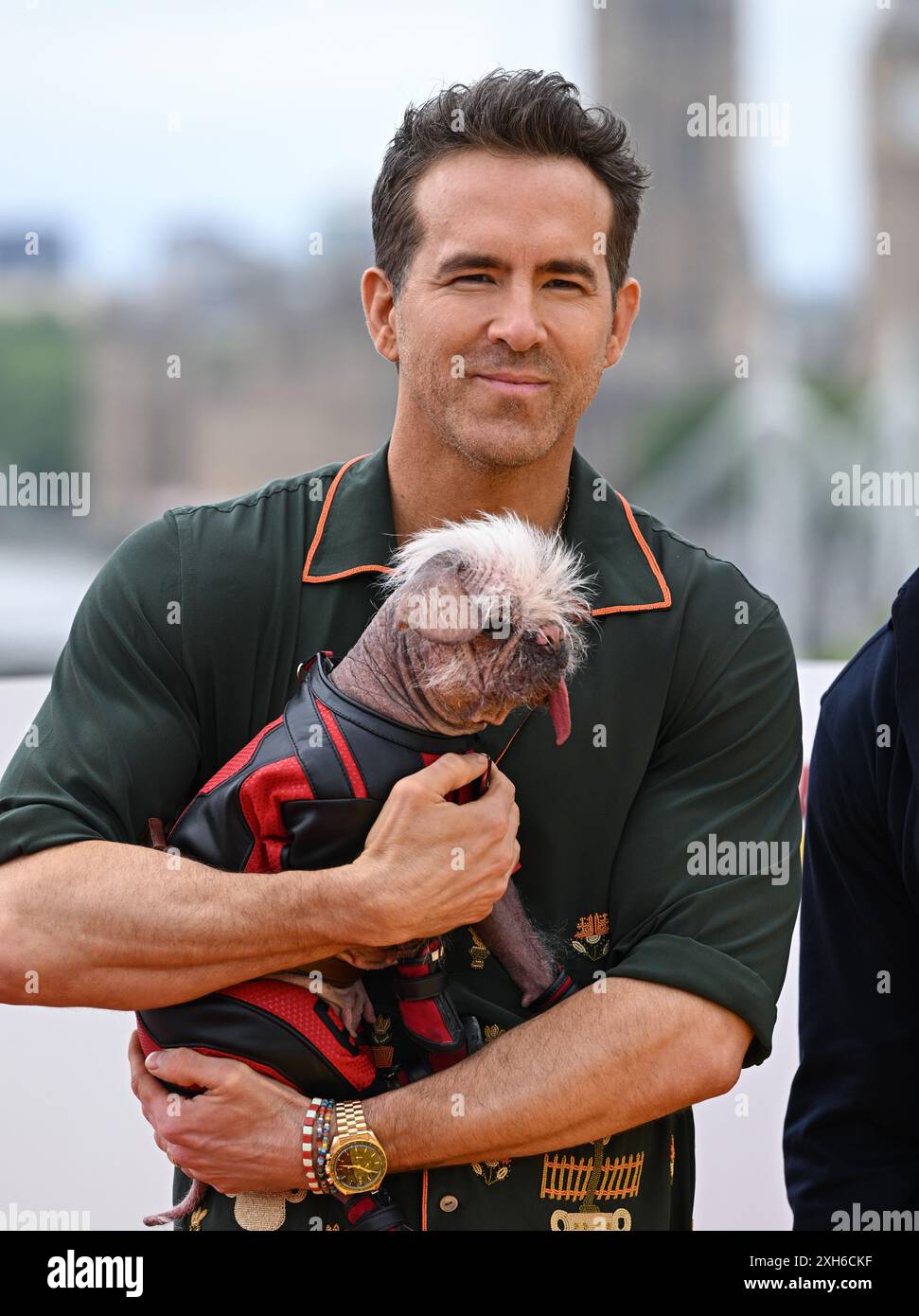 London, UK. July 12th, 2024. Ryan Reynolds and Peggy the dog at the ...