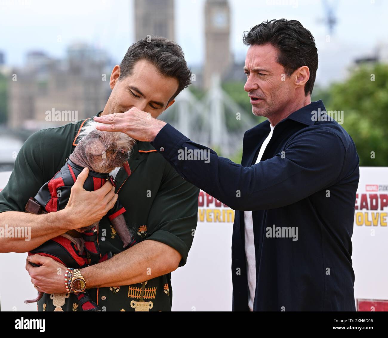 London, UK. July 12th, 2024. Ryan Reynolds, Peggy the dog and Hugh ...