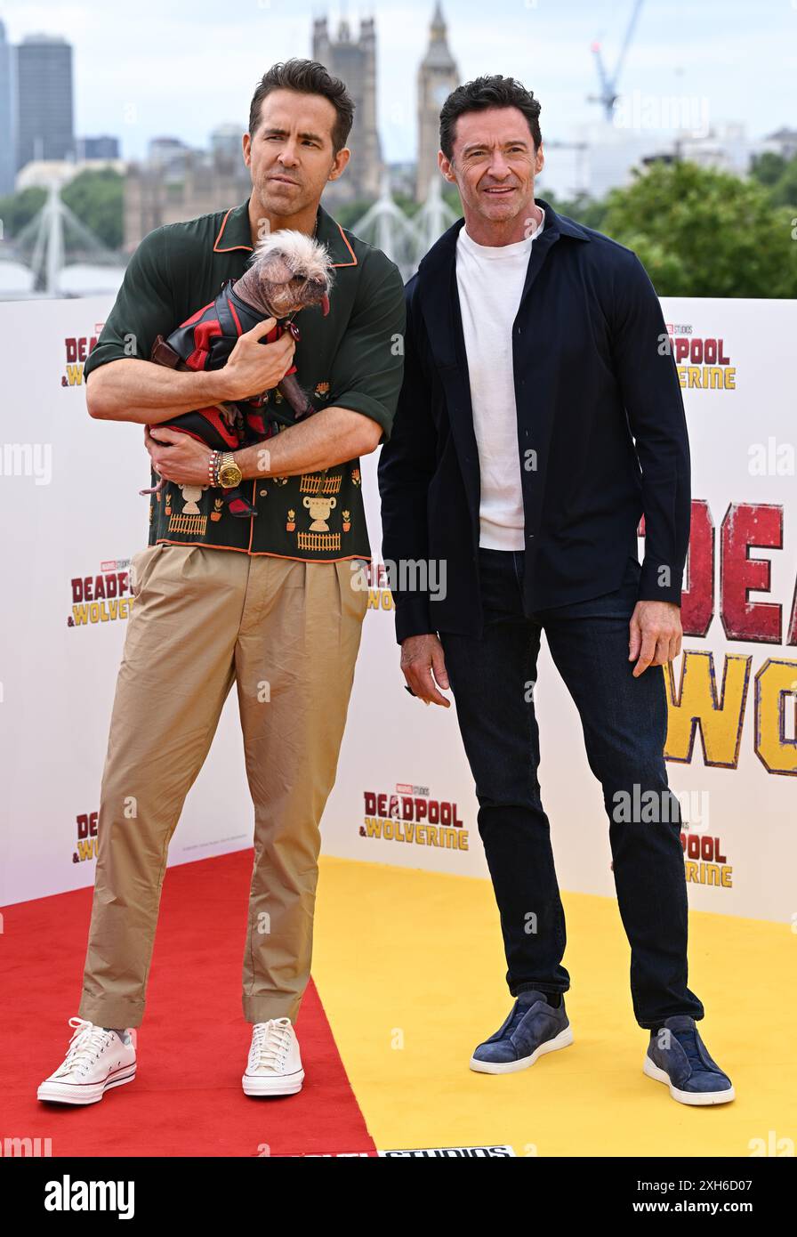 London, UK. July 12th, 2024. Ryan Reynolds, Peggy the dog and Hugh ...