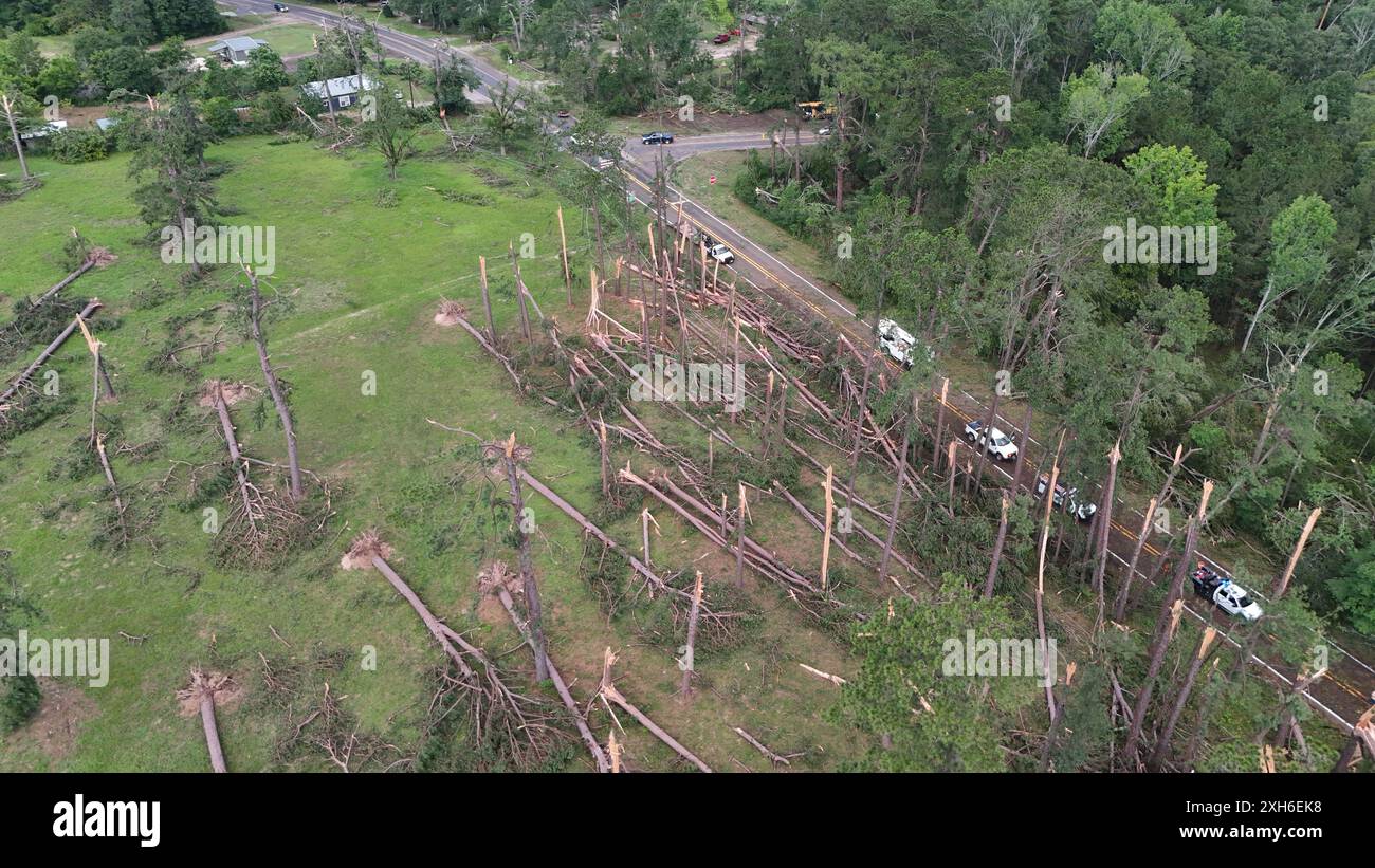 An aerial view of a forest with numerous fallen trees after a tornado ...
