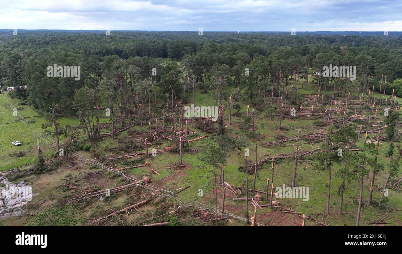 An aerial view of a forest with numerous fallen trees after a tornado ...