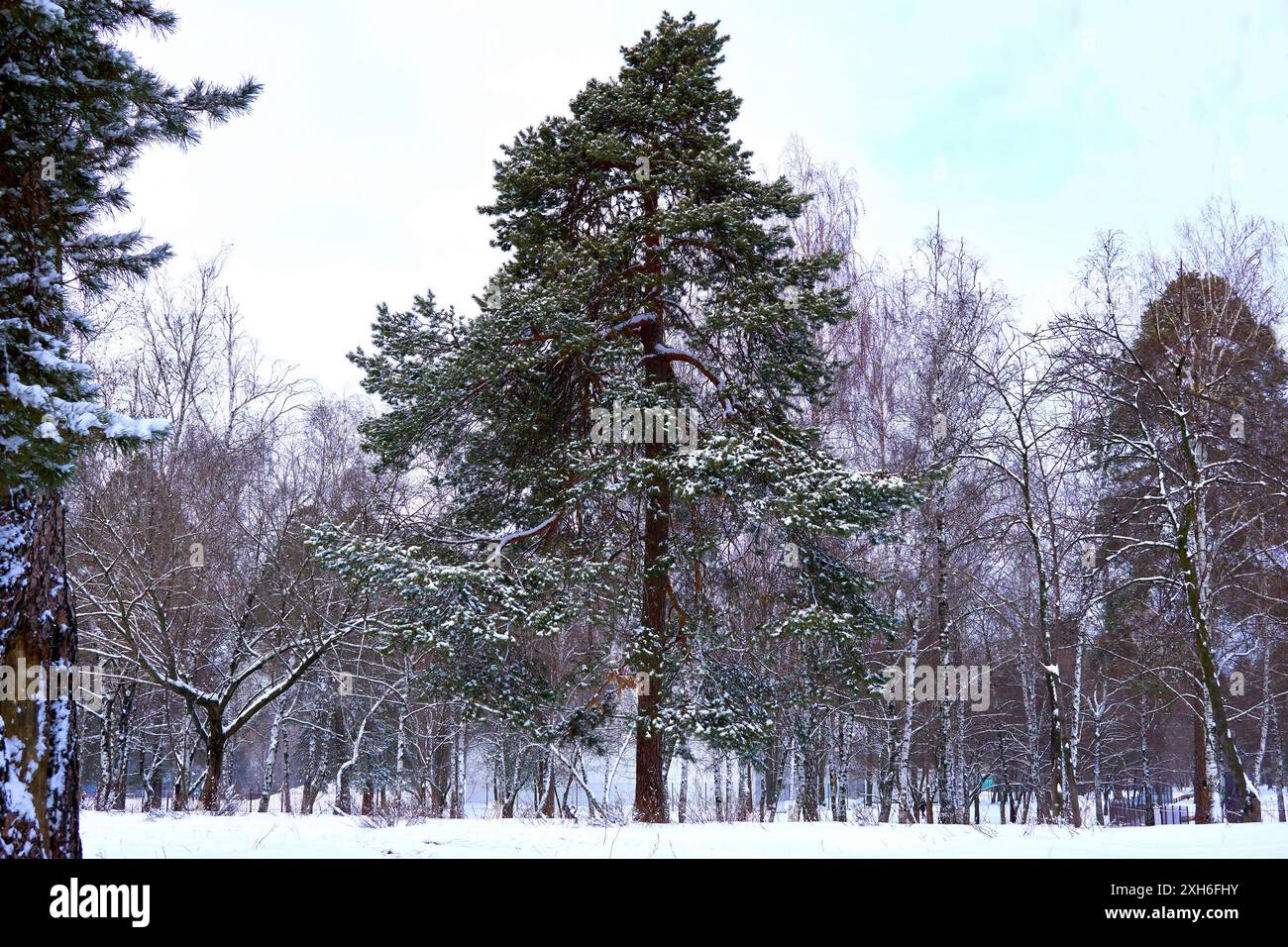 the coldest season of the year, in the northern hemisphere from ...