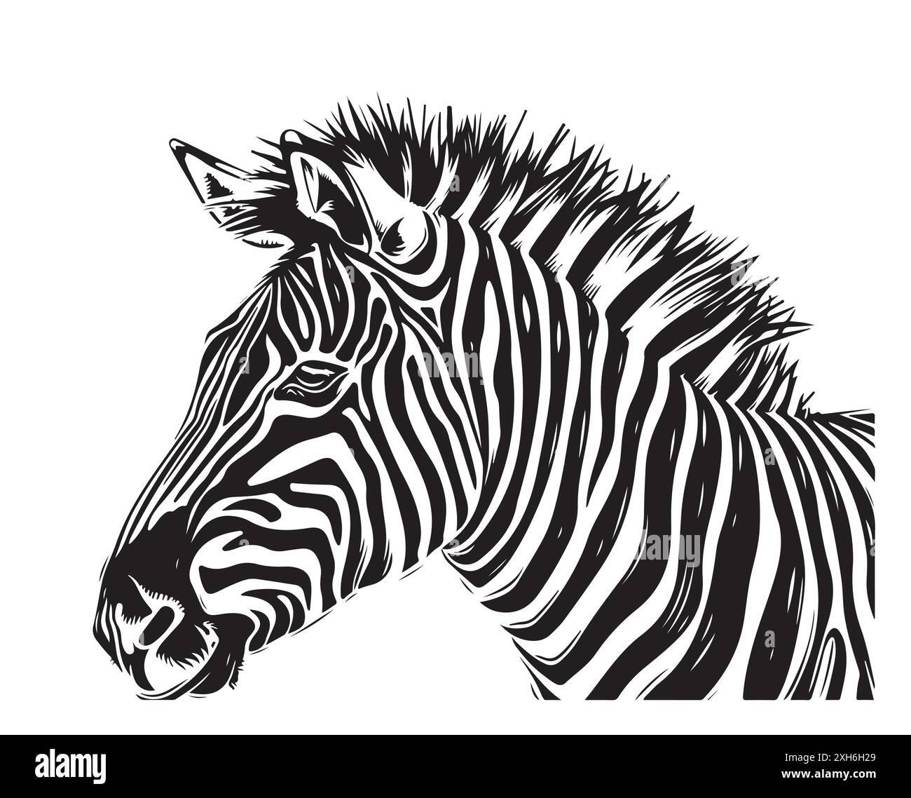Portrait white black horse Cut Out Stock Images & Pictures - Alamy