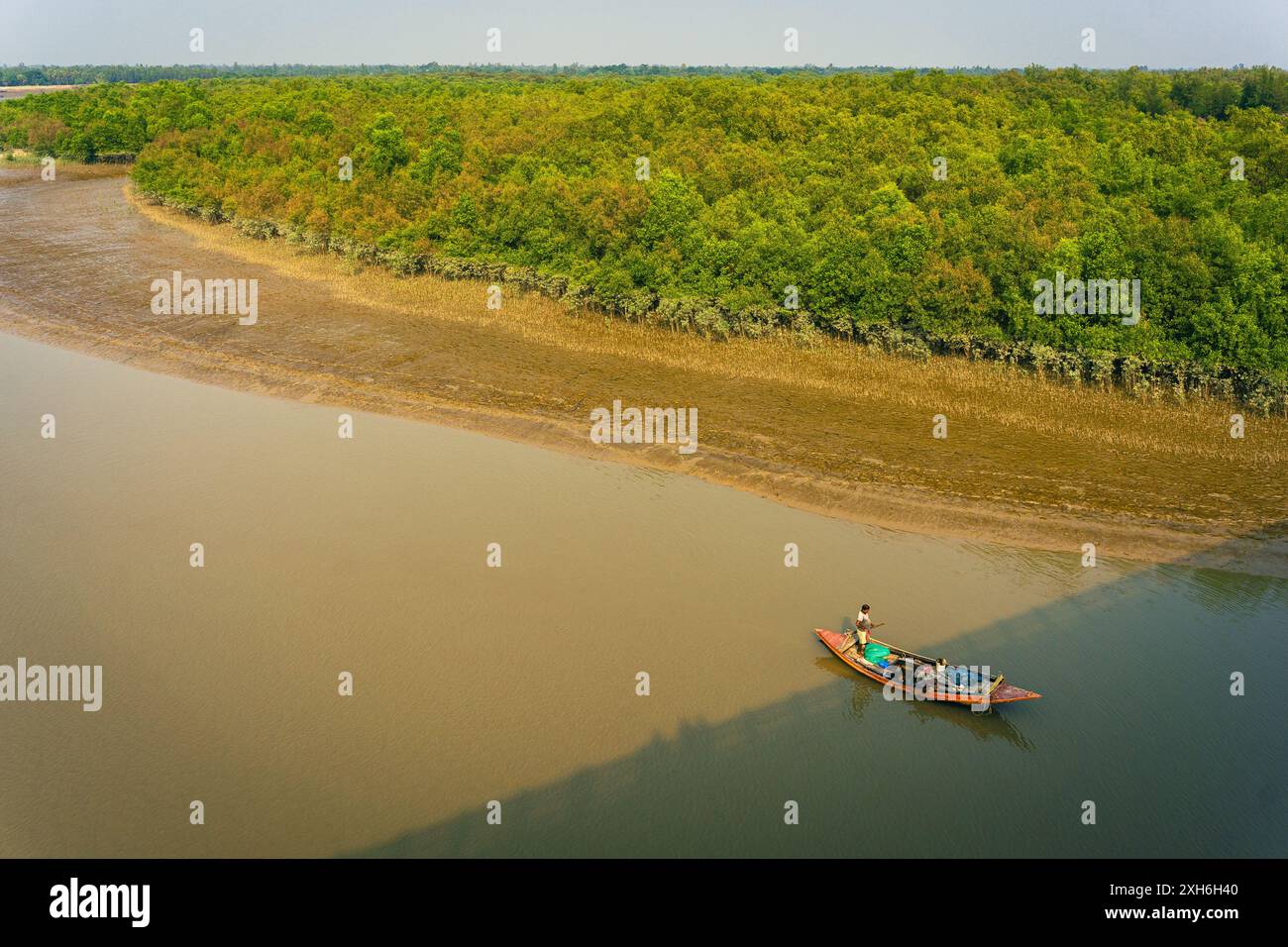Aerial view of Sundarbans mangroves forest with water channels and ...