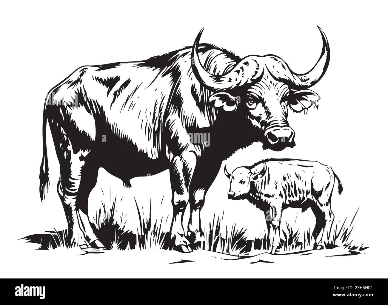 African buffalo. Hand drawn vector sketch illustration. Black outline ...
