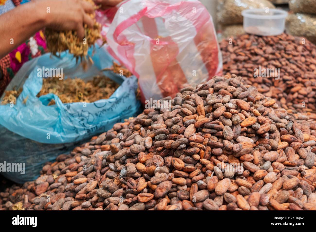 A pile of cocoa beans in the Mercado de Abastos markets in Oaxaca City ...
