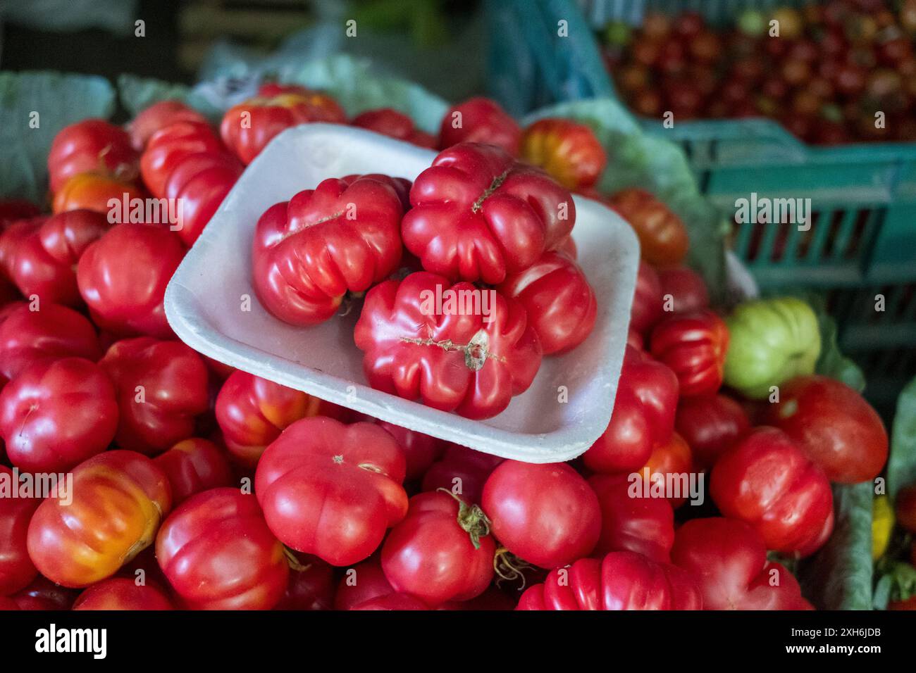 A plate of Zapotec Oaxacan ribbed tomatoes for sale at the Mercado de ...