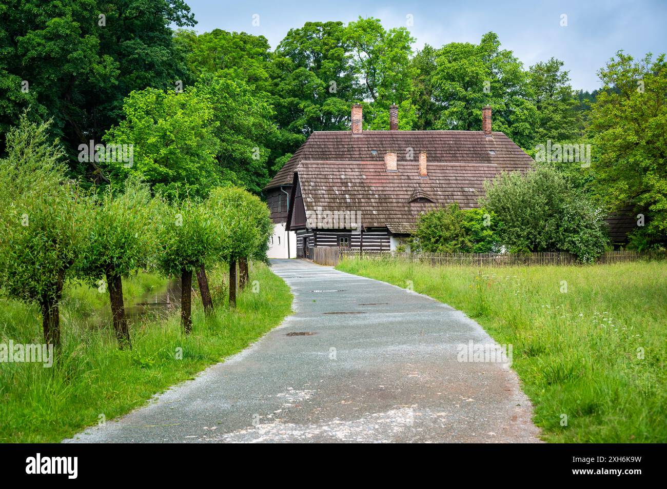 The Old Grandmother's House in Babiccino Valley is a charming ...