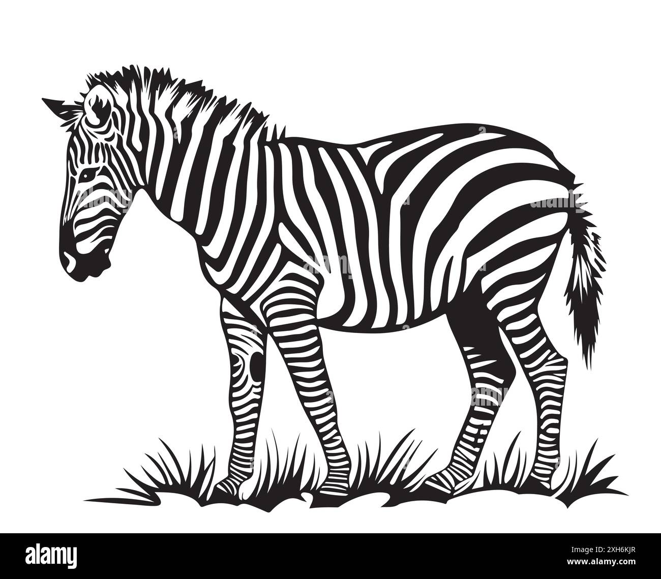 zebra black and white vector illustration Stock Vector Image & Art - Alamy