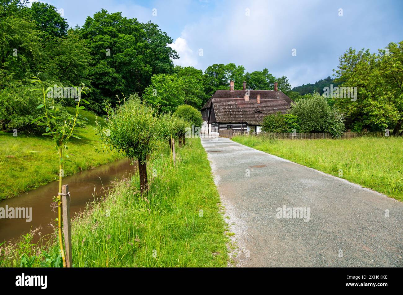 The Old Grandmother's House in Babiccino Valley is a charming ...