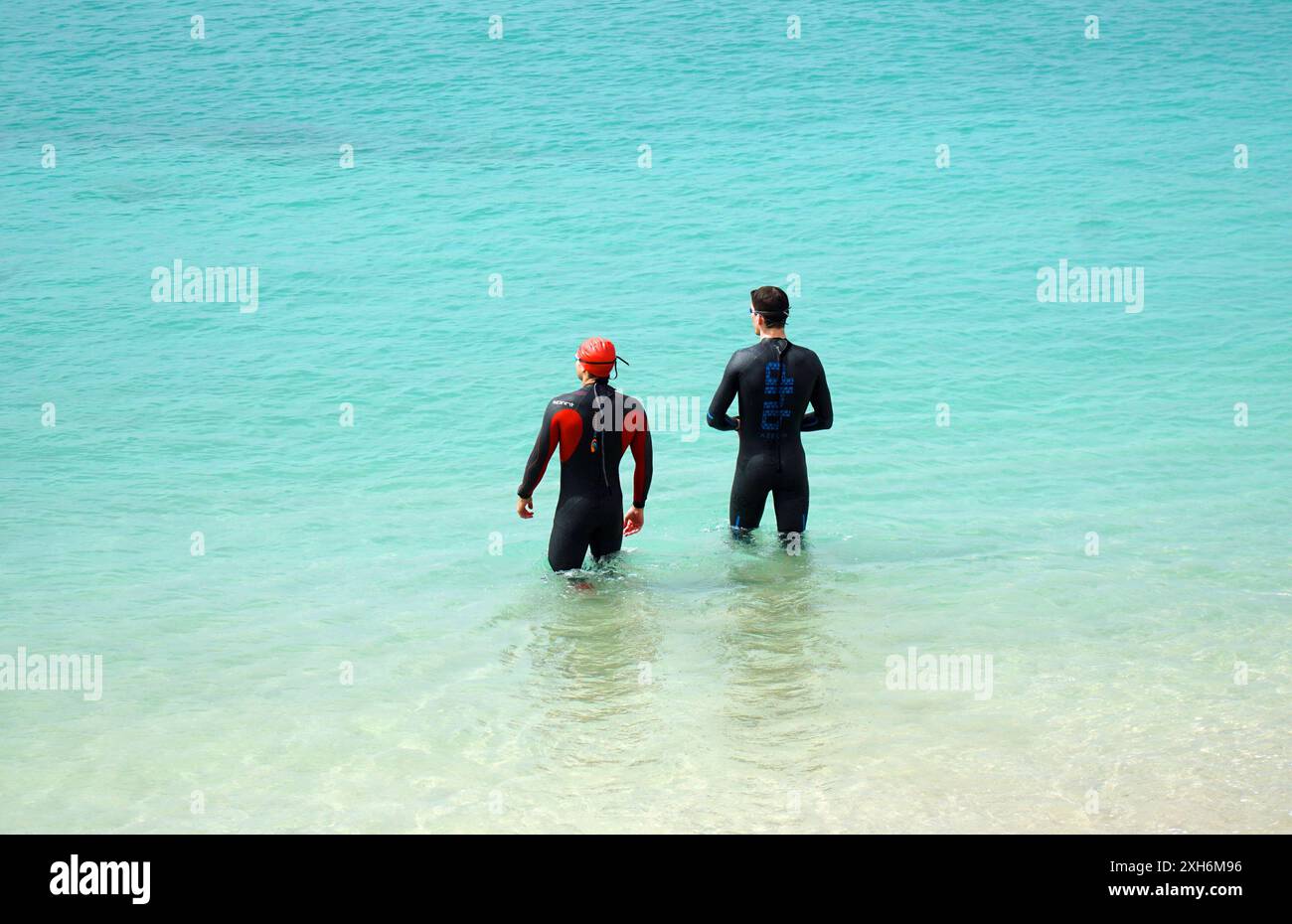 Two male swimmers in wetsuits facing out to sea in bright sunshine ...