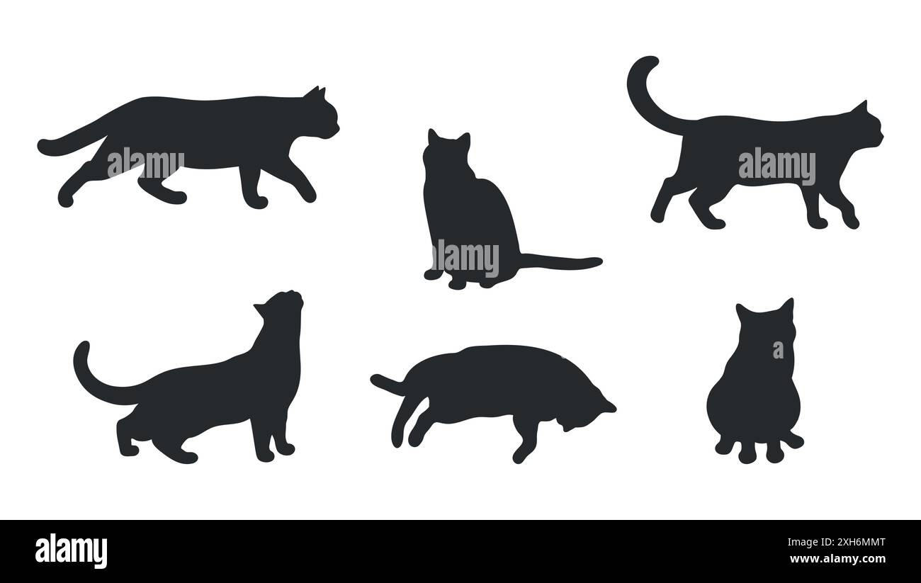 Set of cat silhouettes isolated on white background. Different cat ...