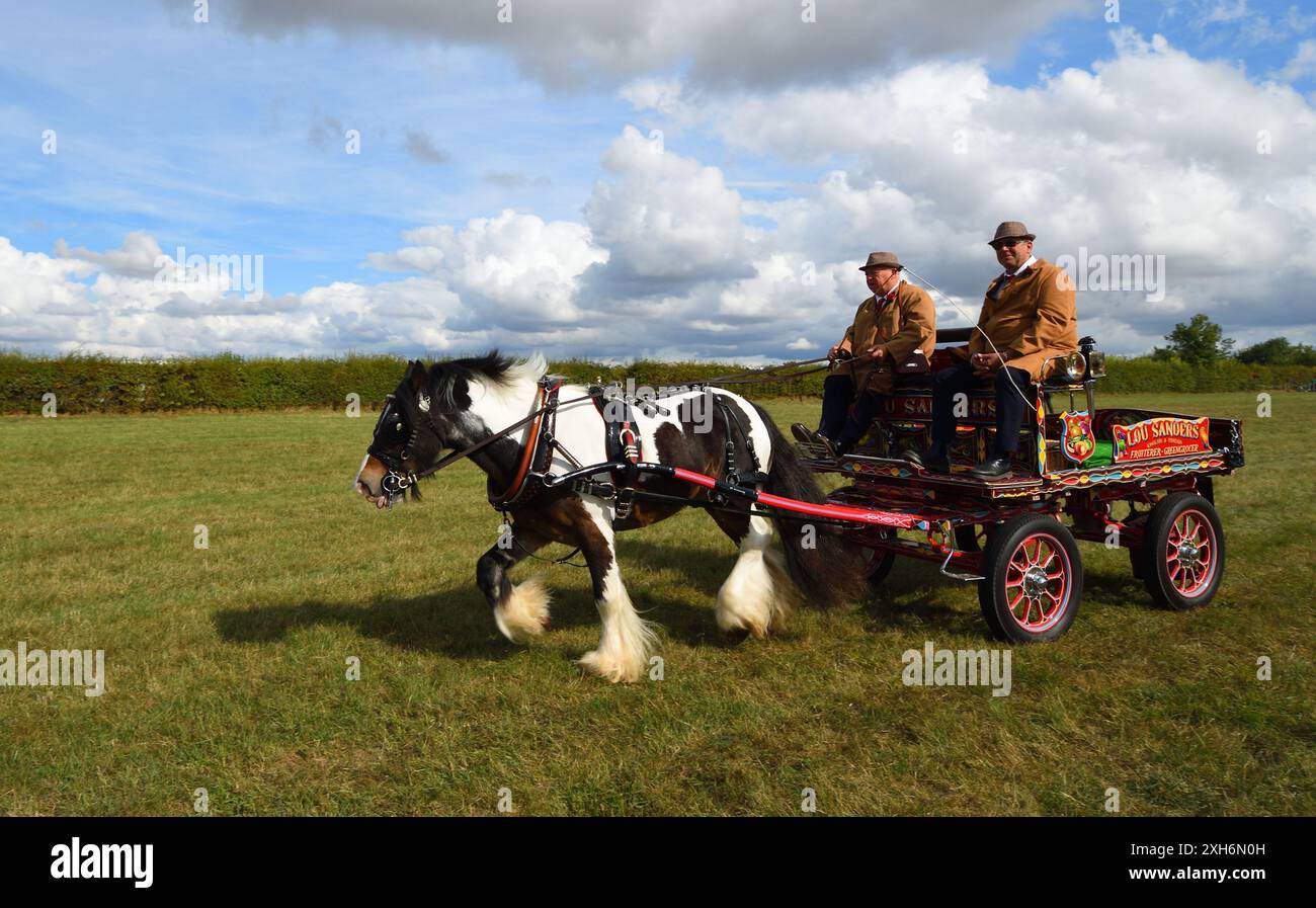 Vintage Brightly painted Heavy Horse drawn delivery wagon on the move ...